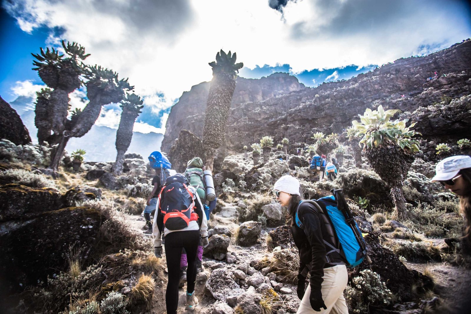 Climbing Kilimanjaro – Tanzania Safaris & Tours